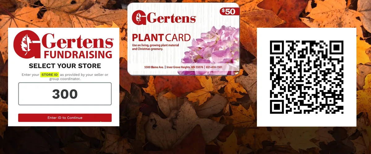 Shop our Gertens store for mums and other fall plants - Relay For Life ...